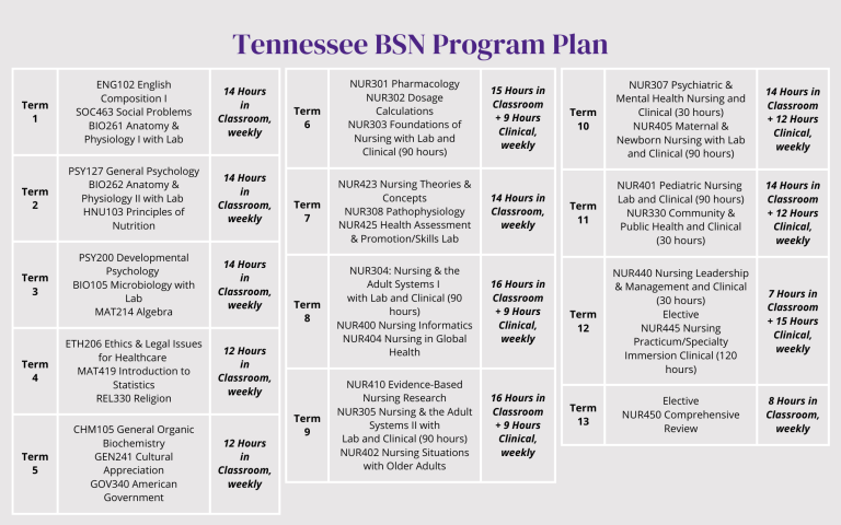 Online BSN Program | American National University